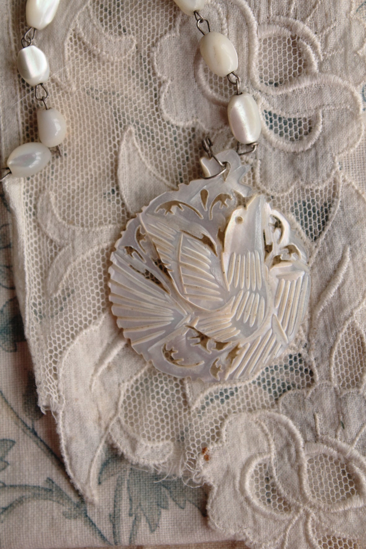 Antique Carved Abalone Shell Peace Dove – The Linen Garden
